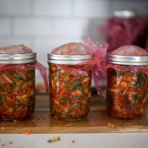 How to Make Fermented Vegetables - 7 Recipes - Farmhouse on Boone