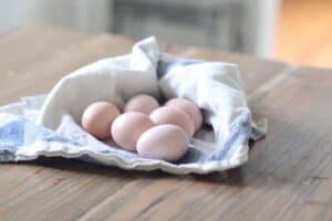 How To Take Care Of Chickens - Farmhouse on Boone