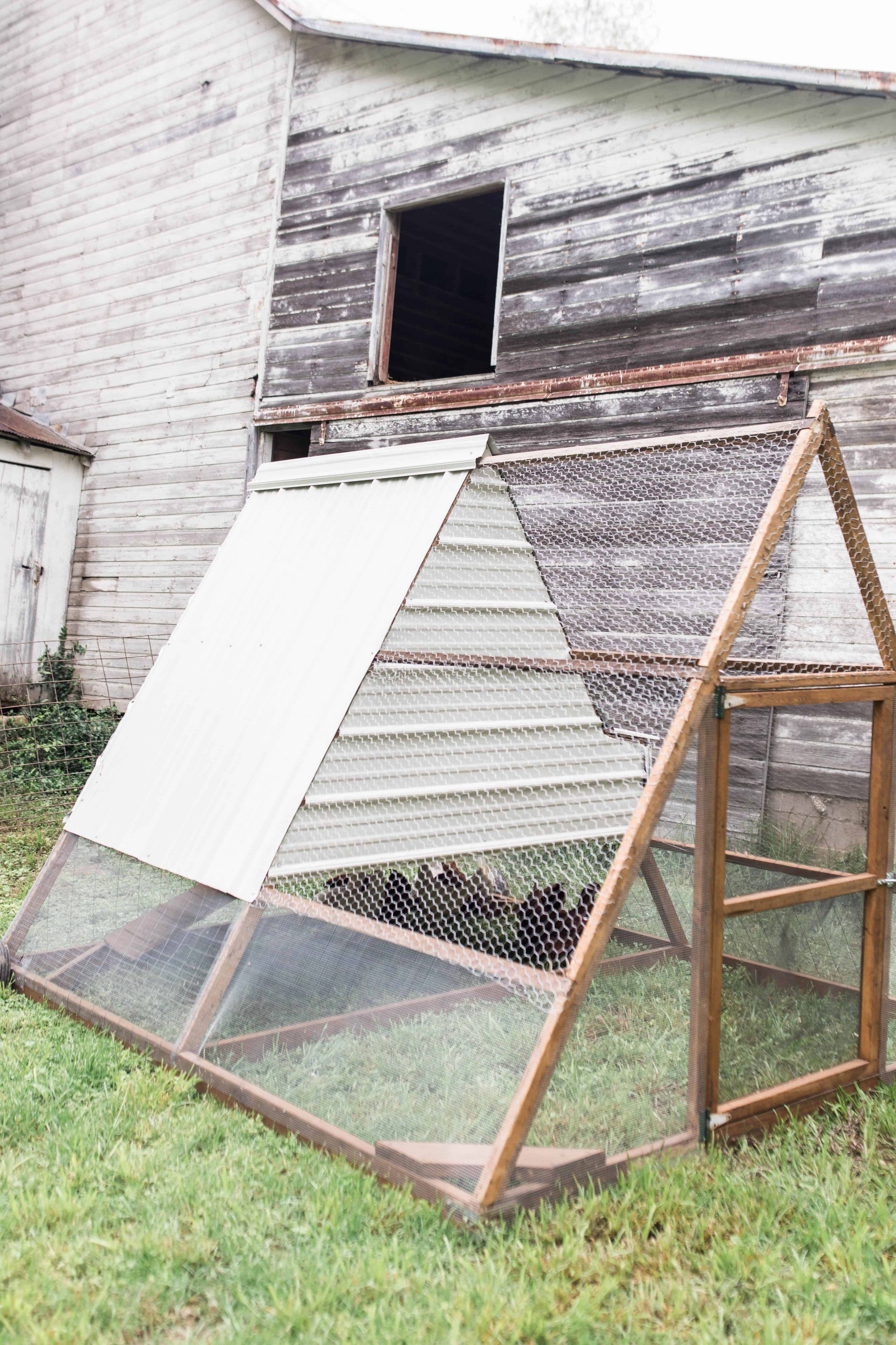 Our A-Frame Chicken Tractor - Farmhouse on Boone