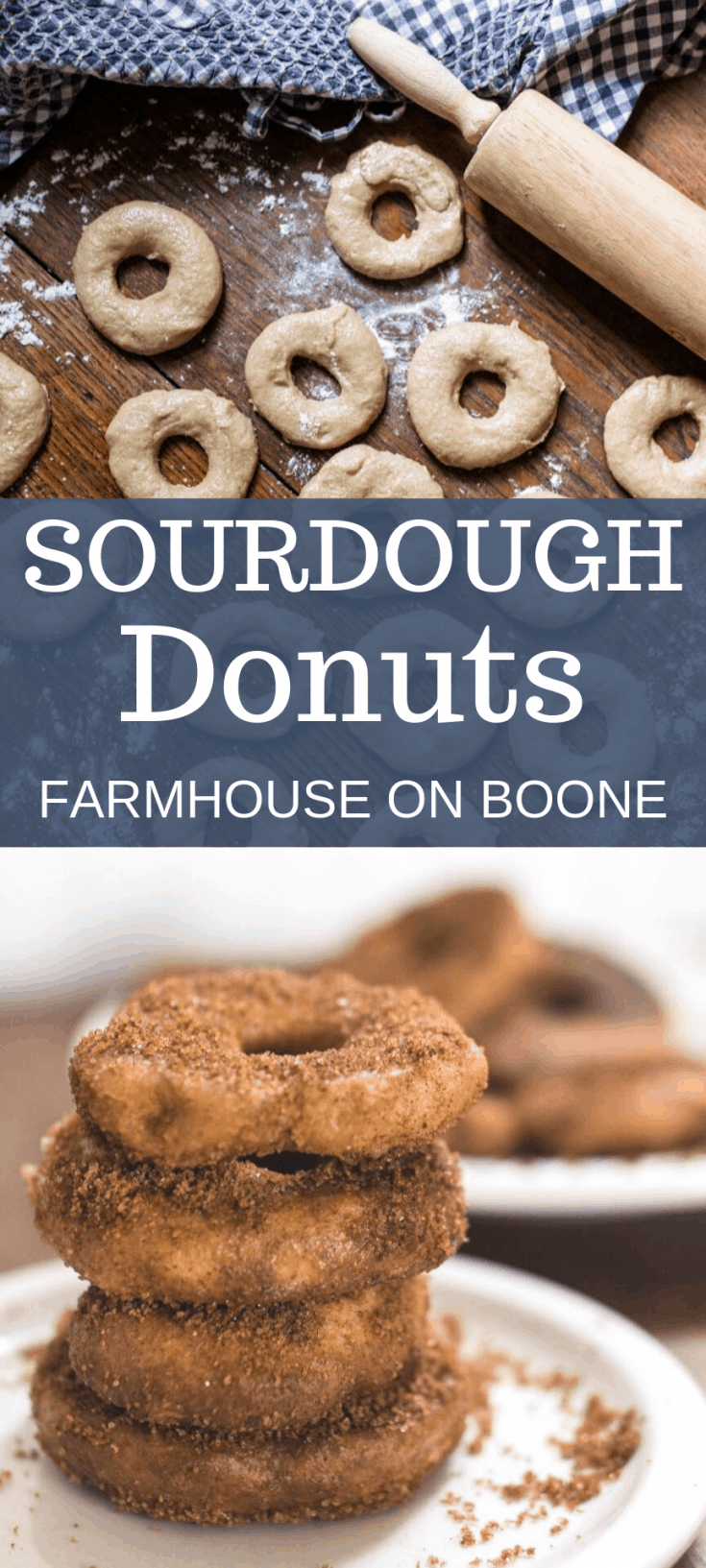 Sourdough Donuts With Cinnamon Sugar - Farmhouse on Boone