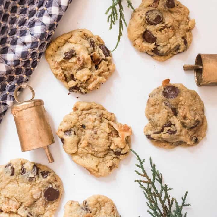Toasted Coconut Cookies Recipe With Chocolate Chip - Farmhouse on Boone
