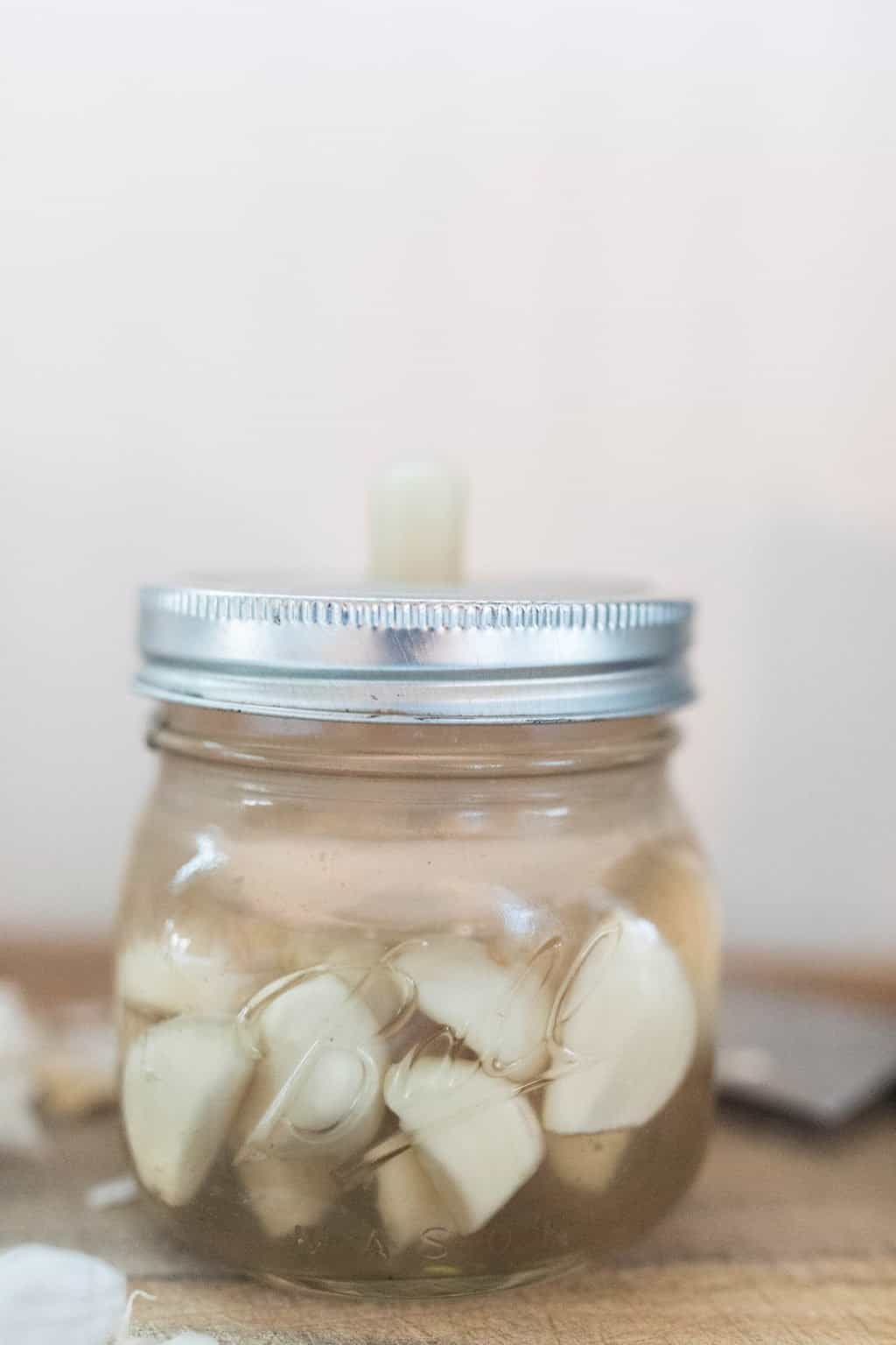Lacto-Fermented Garlic - Farmhouse on Boone