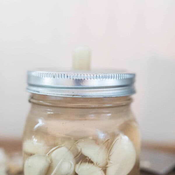 Lacto-Fermented Garlic - Farmhouse on Boone