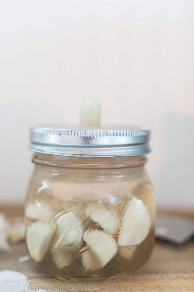 Lacto-Fermented Garlic - Farmhouse on Boone