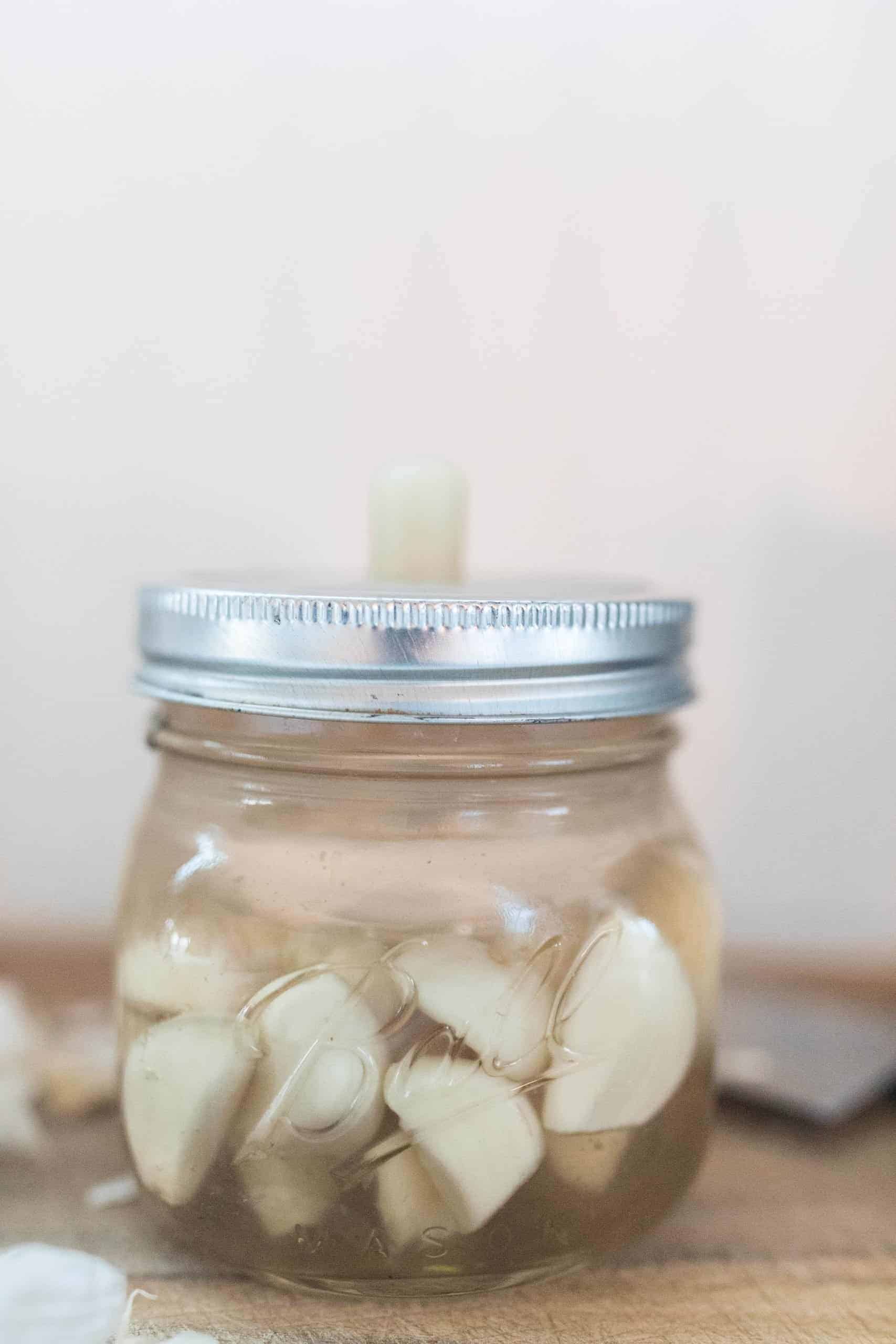 Lacto-Fermented Garlic - Farmhouse on Boone