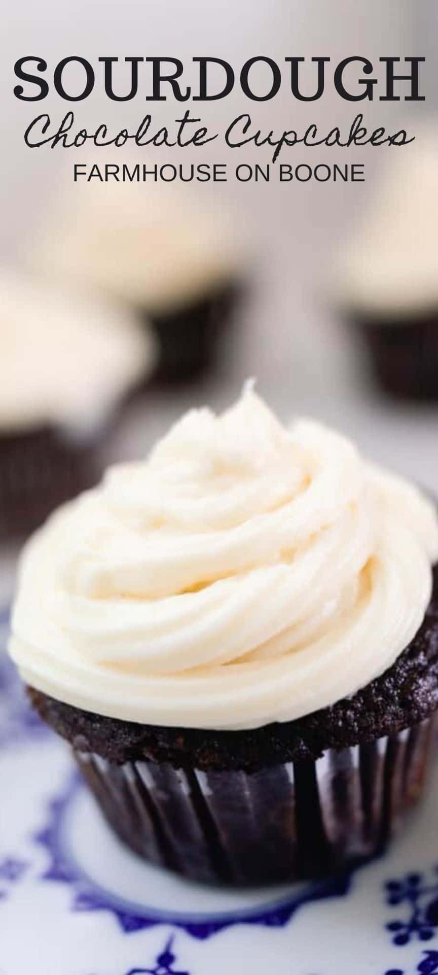 Sourdough Chocolate Cupcakes - Farmhouse on Boone