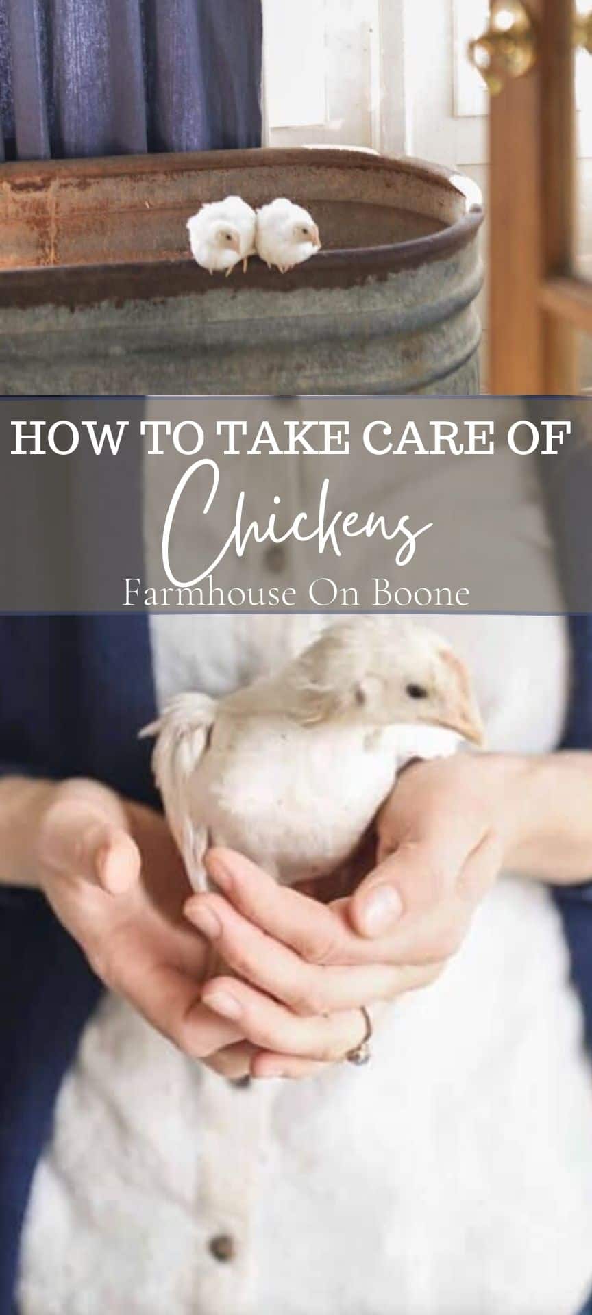 How To Take Care Of Chickens - Farmhouse on Boone