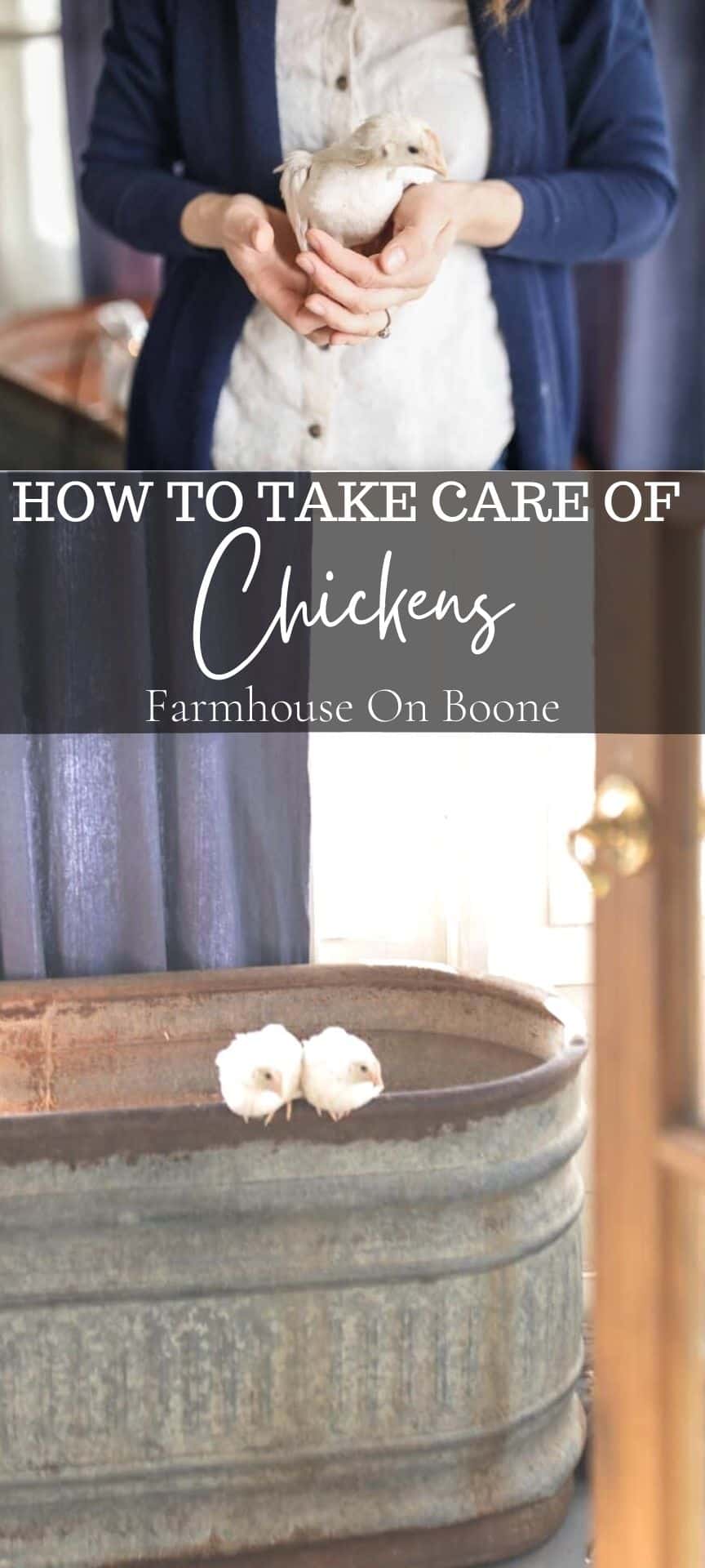 How To Take Care Of Chickens - Farmhouse on Boone
