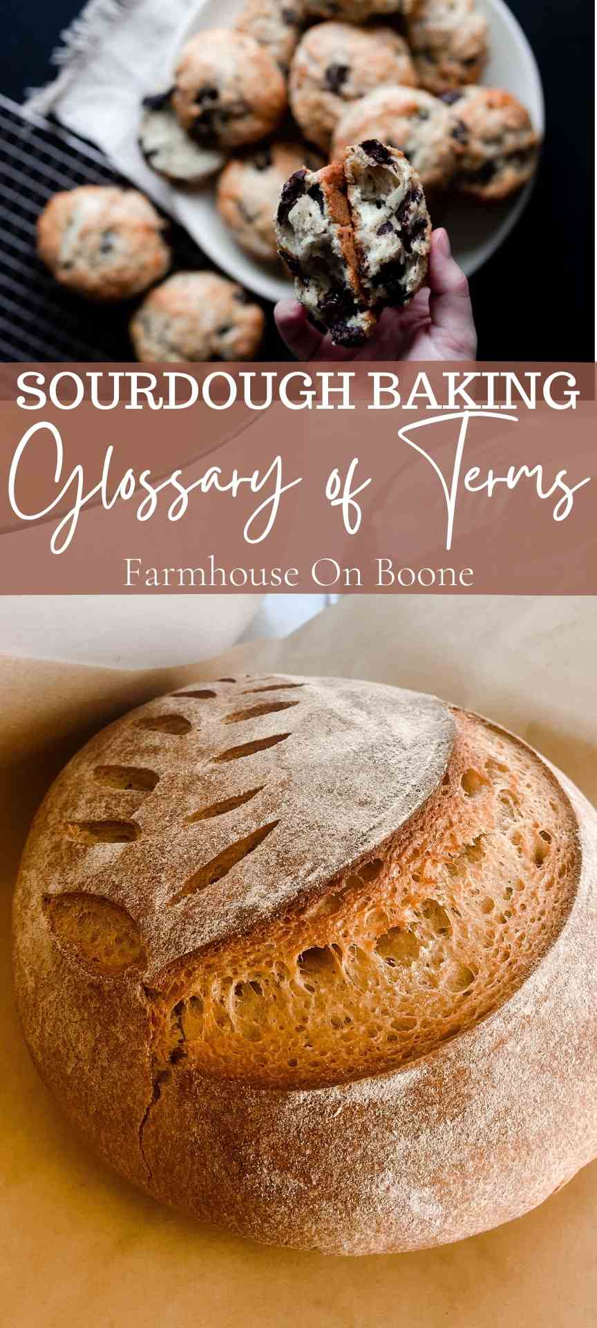 Sourdough Baking Glossary Of Terms - Farmhouse on Boone