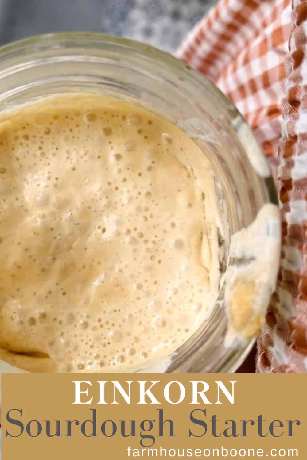 Einkorn Sourdough Starter - Farmhouse on Boone