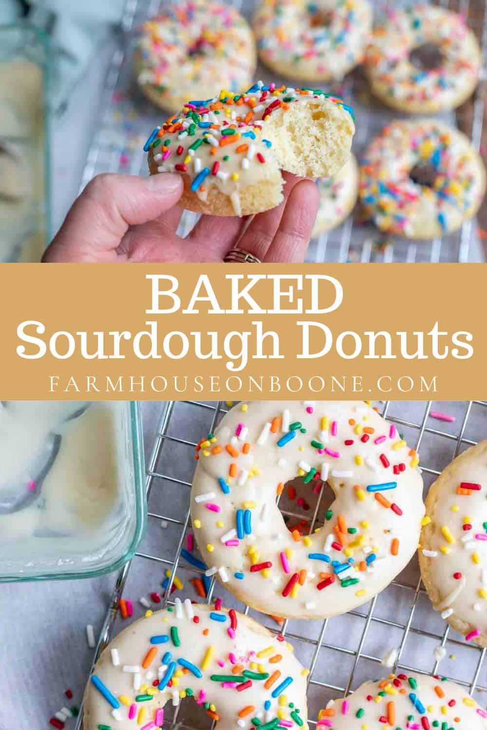 Baked Sourdough Donuts - Farmhouse on Boone