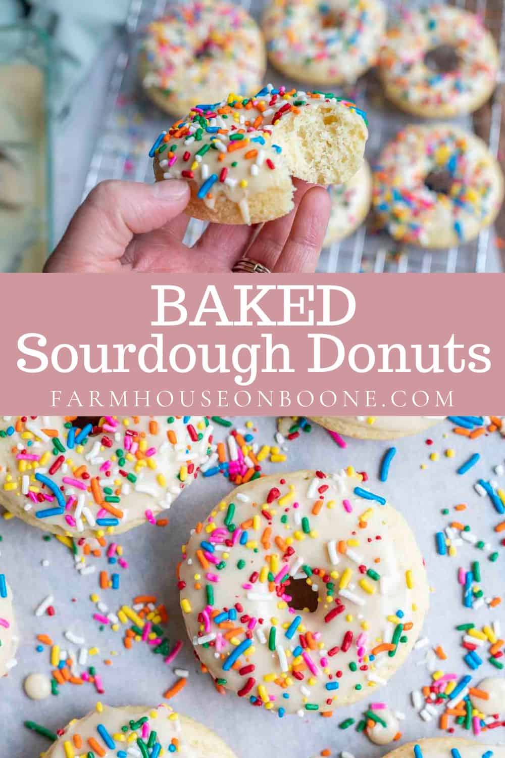 Baked Sourdough Donuts - Farmhouse on Boone