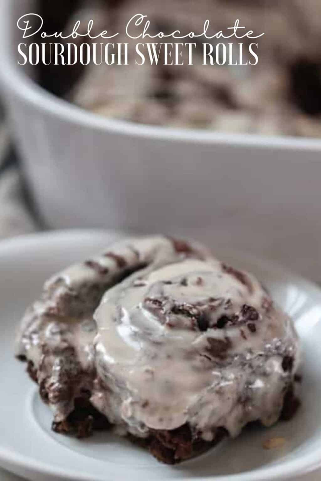 Double Chocolate Sweet Rolls - Farmhouse on Boone