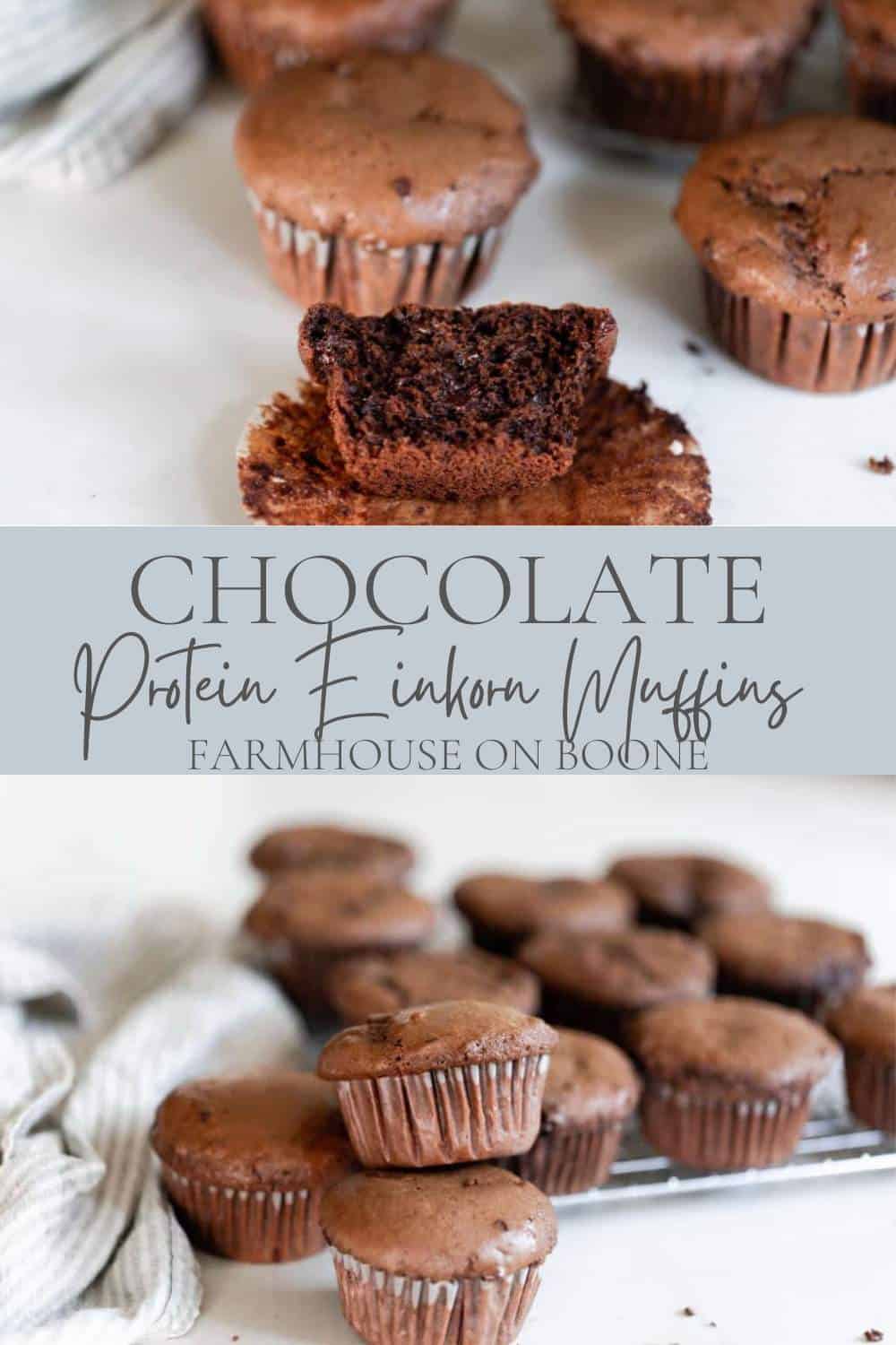 Chocolate Einkorn Protein Muffins - Farmhouse on Boone
