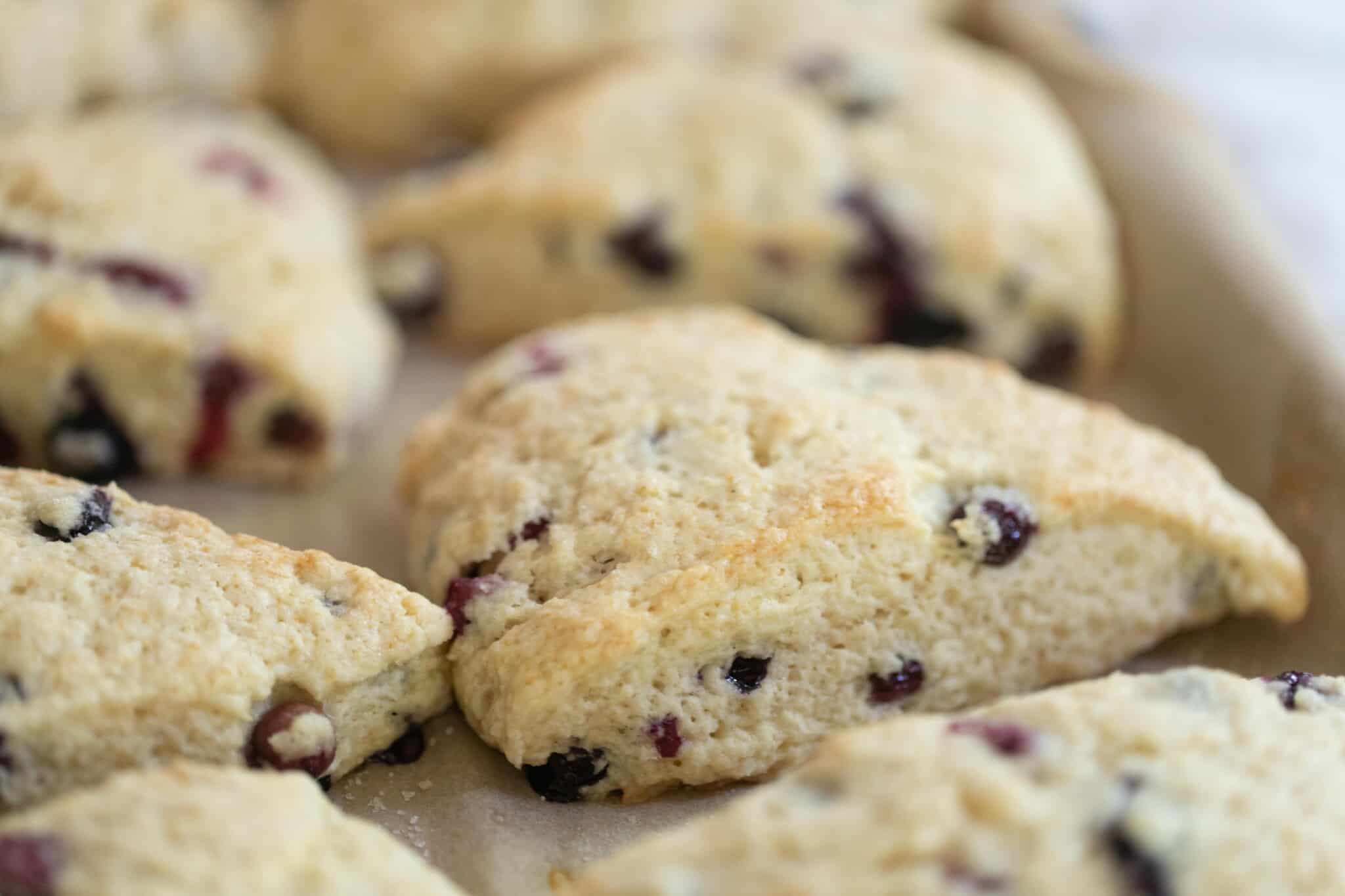 The Best Sourdough Discard Scones Recipe - Farmhouse on Boone