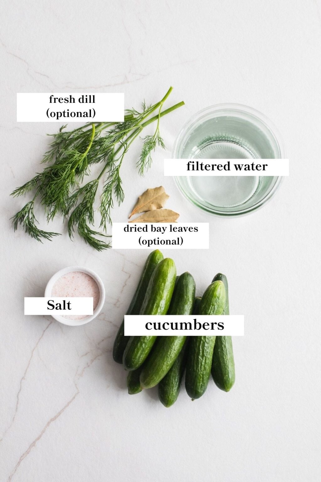 Homemade Fermented Pickles - Farmhouse on Boone