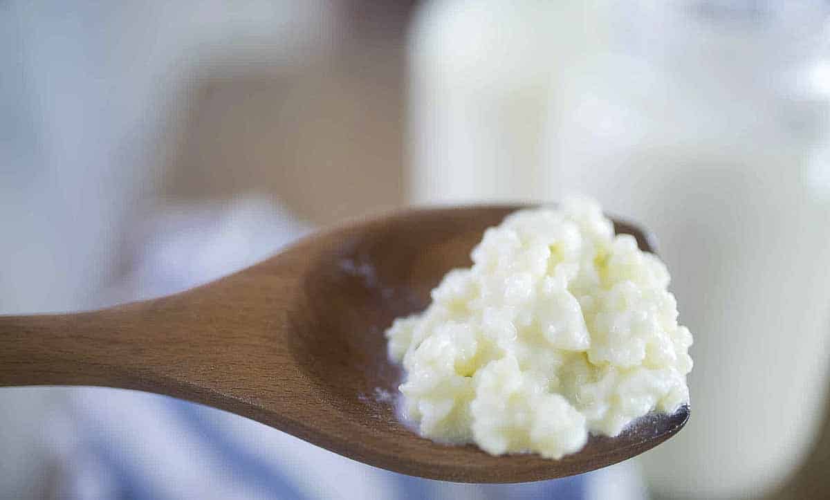 How to Make Milk Kefir - Farmhouse on Boone