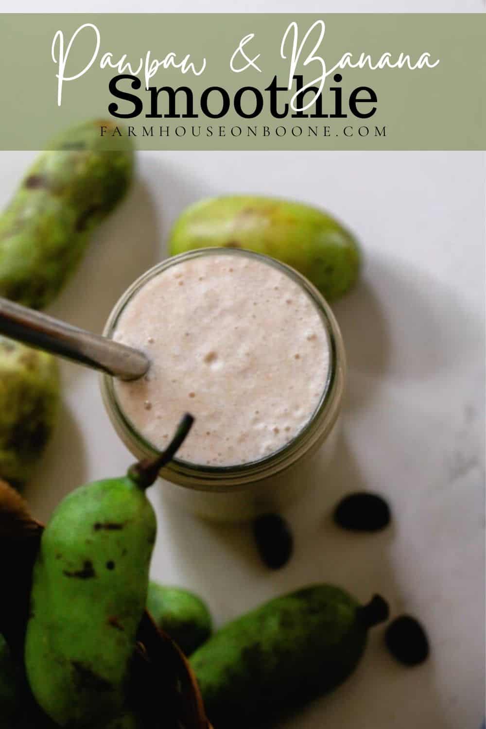 Creamy Pawpaw And Banana Smoothie Recipe - Farmhouse on Boone