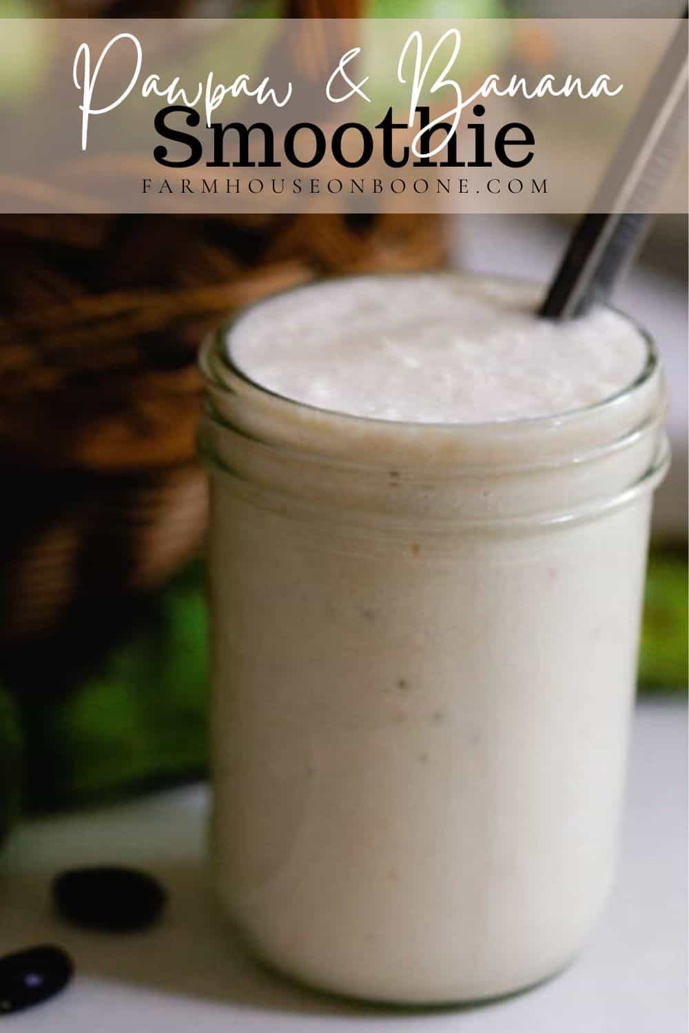 Creamy Pawpaw And Banana Smoothie Recipe - Farmhouse on Boone