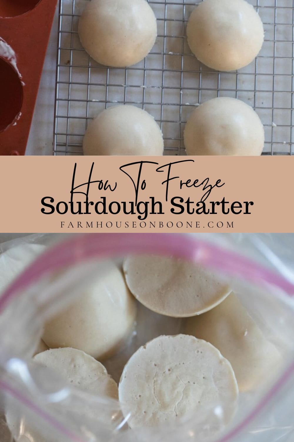 Can You Freeze Sourdough Starter? - Farmhouse on Boone