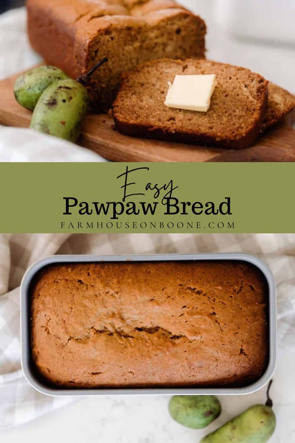 Easy Pawpaw Bread Recipe - Farmhouse on Boone
