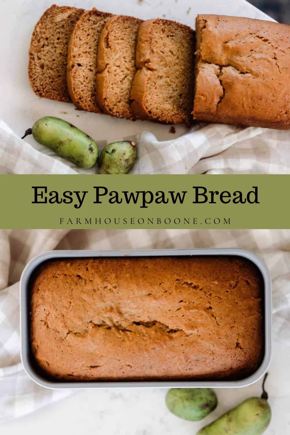 Easy Pawpaw Bread Recipe - Farmhouse on Boone