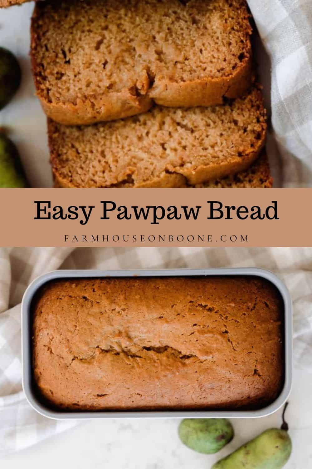 Easy Pawpaw Bread Recipe - Farmhouse on Boone