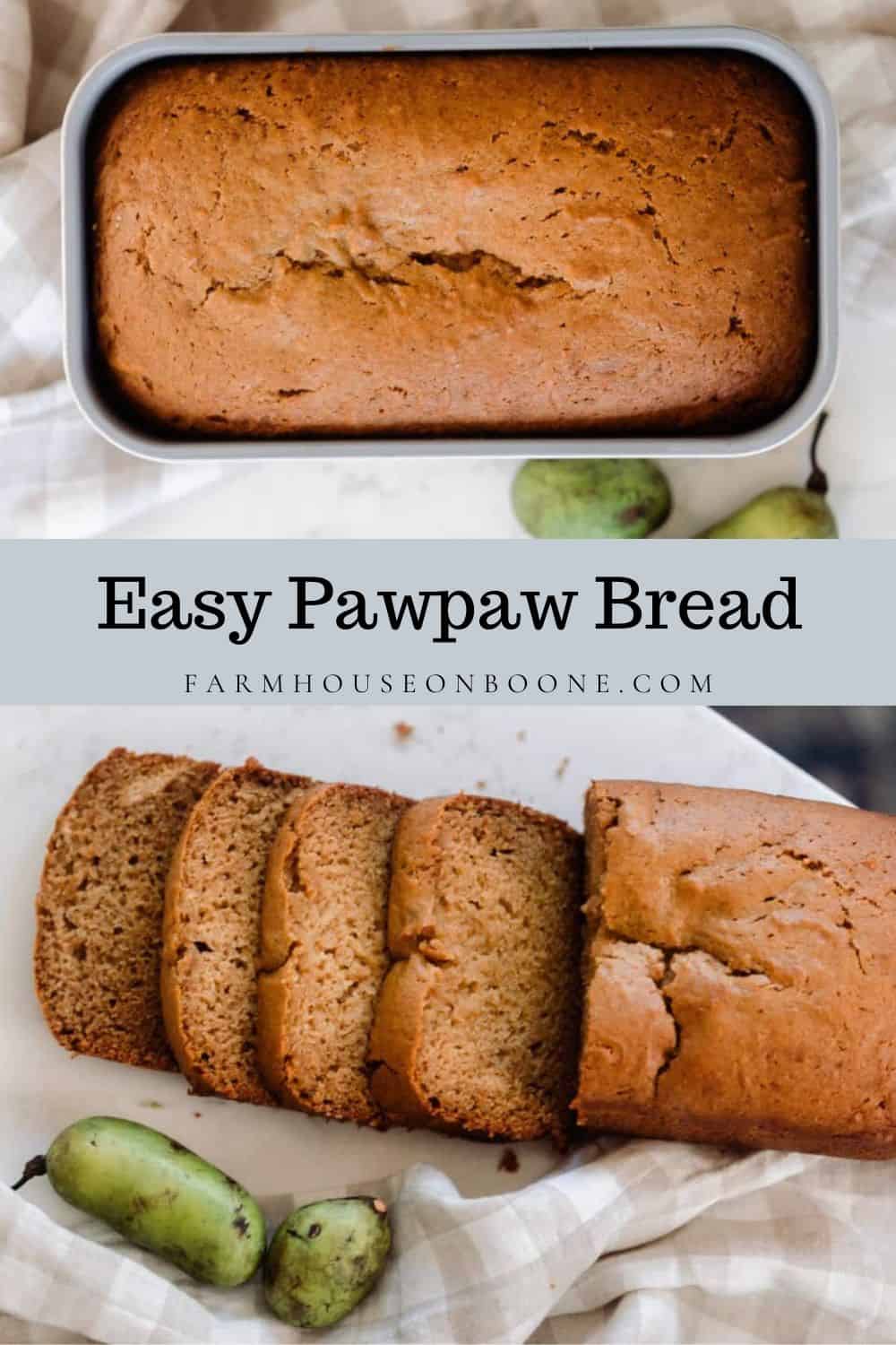 Easy Pawpaw Bread Recipe - Farmhouse on Boone
