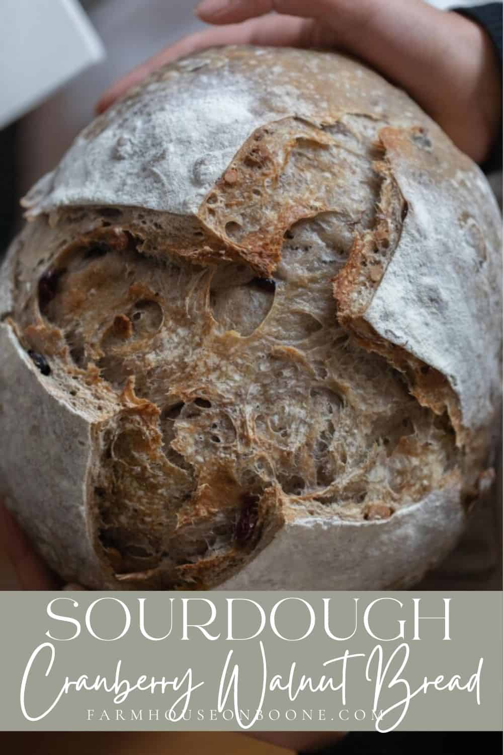 Sourdough Cranberry Walnut Bread Farmhouse On Boone