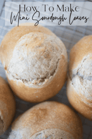 How To Make Mini Sourdough Loaves - Farmhouse on Boone
