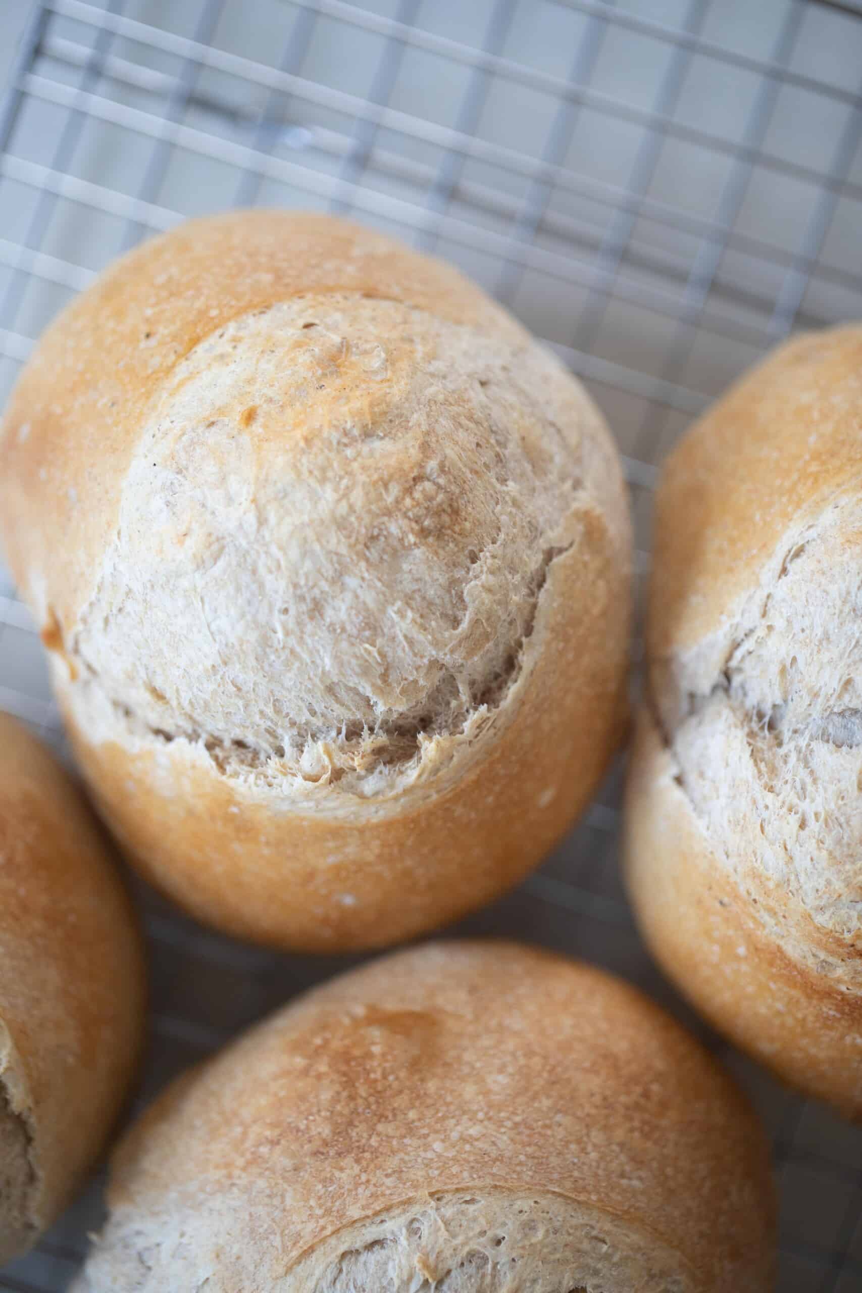 How To Make Mini Sourdough Loaves - Farmhouse on Boone