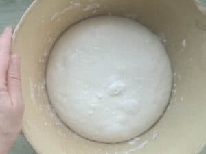 How to Make Small Batch Sourdough Bread - Farmhouse on Boone