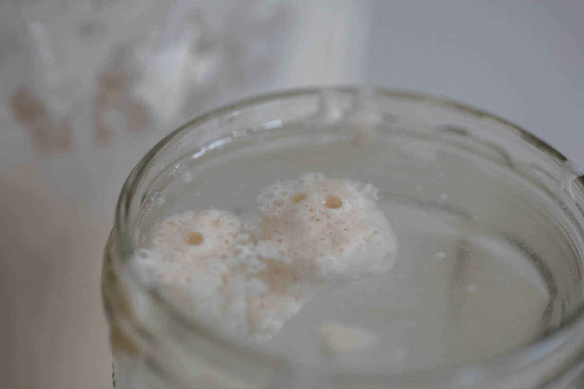 Sourdough Float Test - Farmhouse on Boone