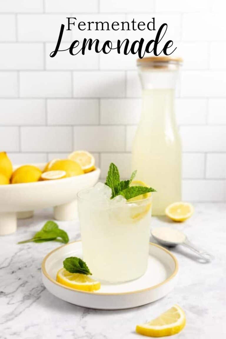 Easy Fermented Lemonade - Refreshing Probiotic Soda - Farmhouse on Boone