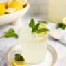 Easy Fermented Lemonade - Refreshing Probiotic Soda - Farmhouse on Boone
