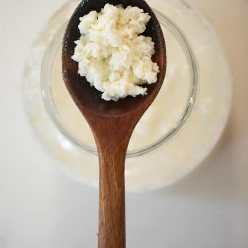 How to Make Milk Kefir - Farmhouse on Boone