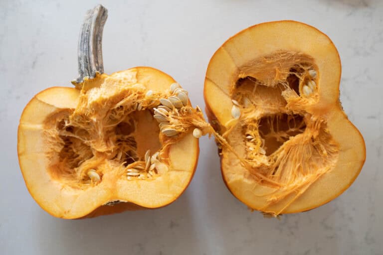 How to Cook a Pumpkin and Make Purée - Farmhouse on Boone