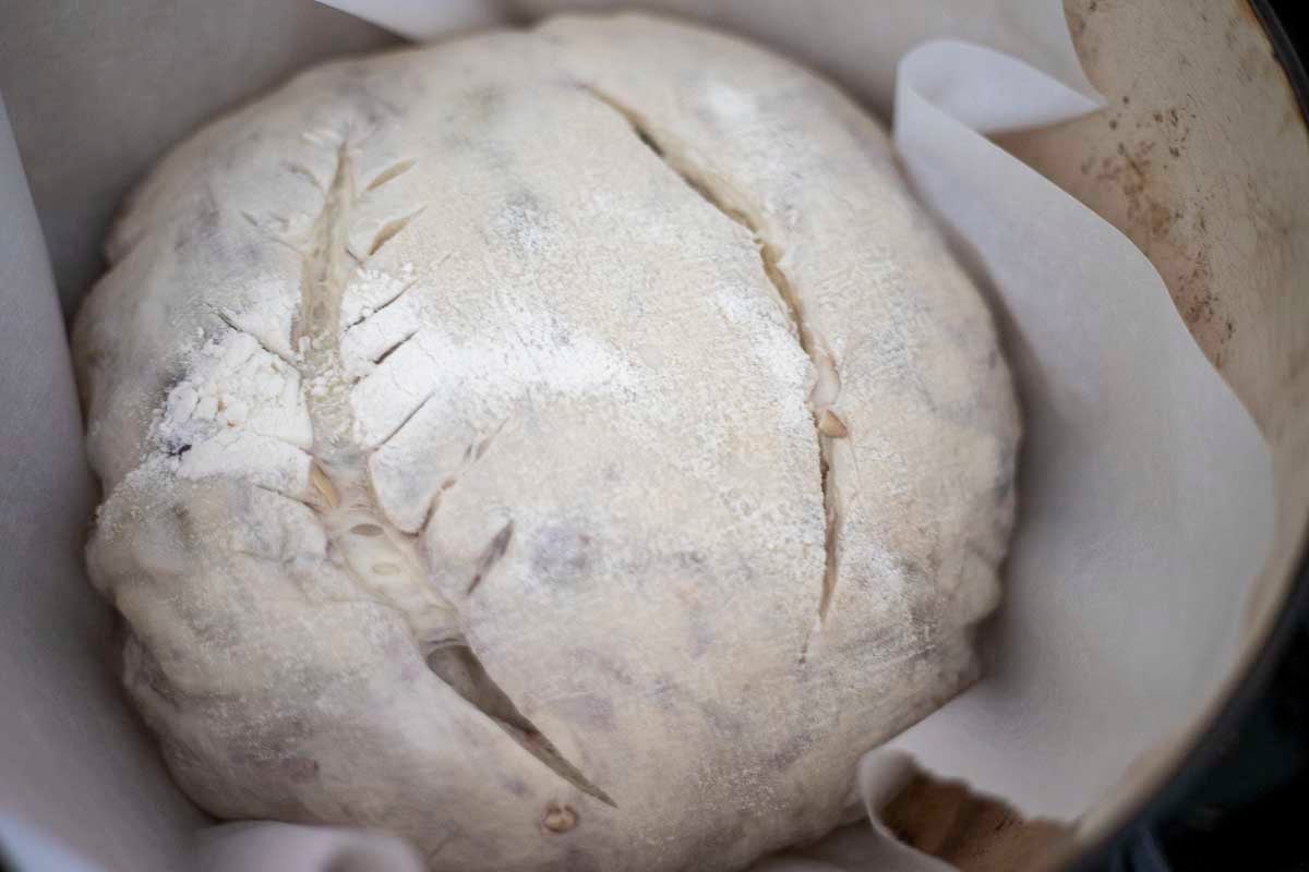 Sourdough Fruit Bread - Farmhouse on Boone