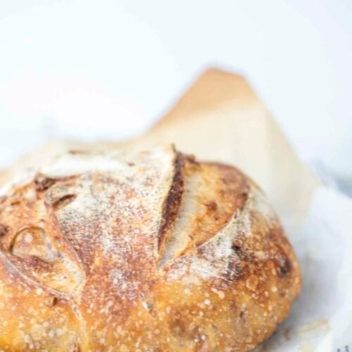 Freezing Sourdough Bread Dough - A Complete Guide - Farmhouse on Boone