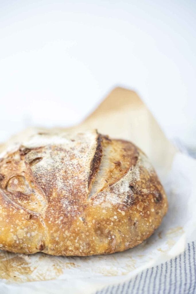 Sourdough Fruit Bread - Farmhouse on Boone