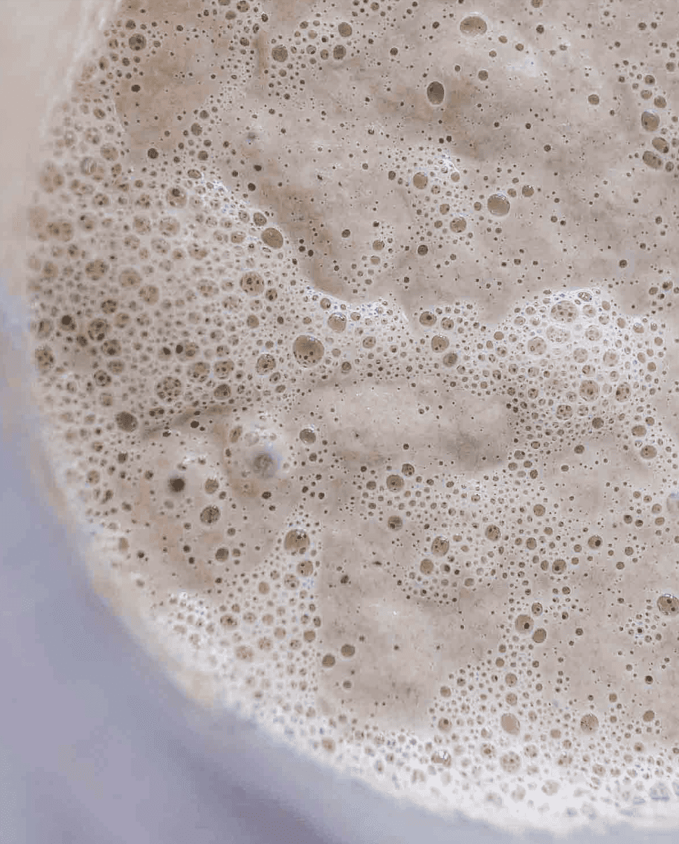 6+ Different Types of Sourdough Starters - Farmhouse on Boone