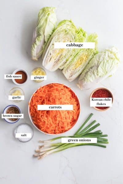 The Best Easy Homemade Kimchi Recipe - Farmhouse on Boone