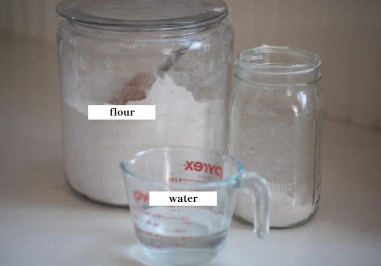 6+ Different Types of Sourdough Starters - Farmhouse on Boone