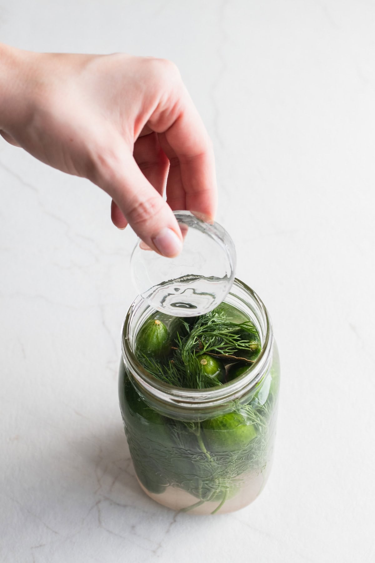 Homemade Fermented Pickles - Farmhouse on Boone