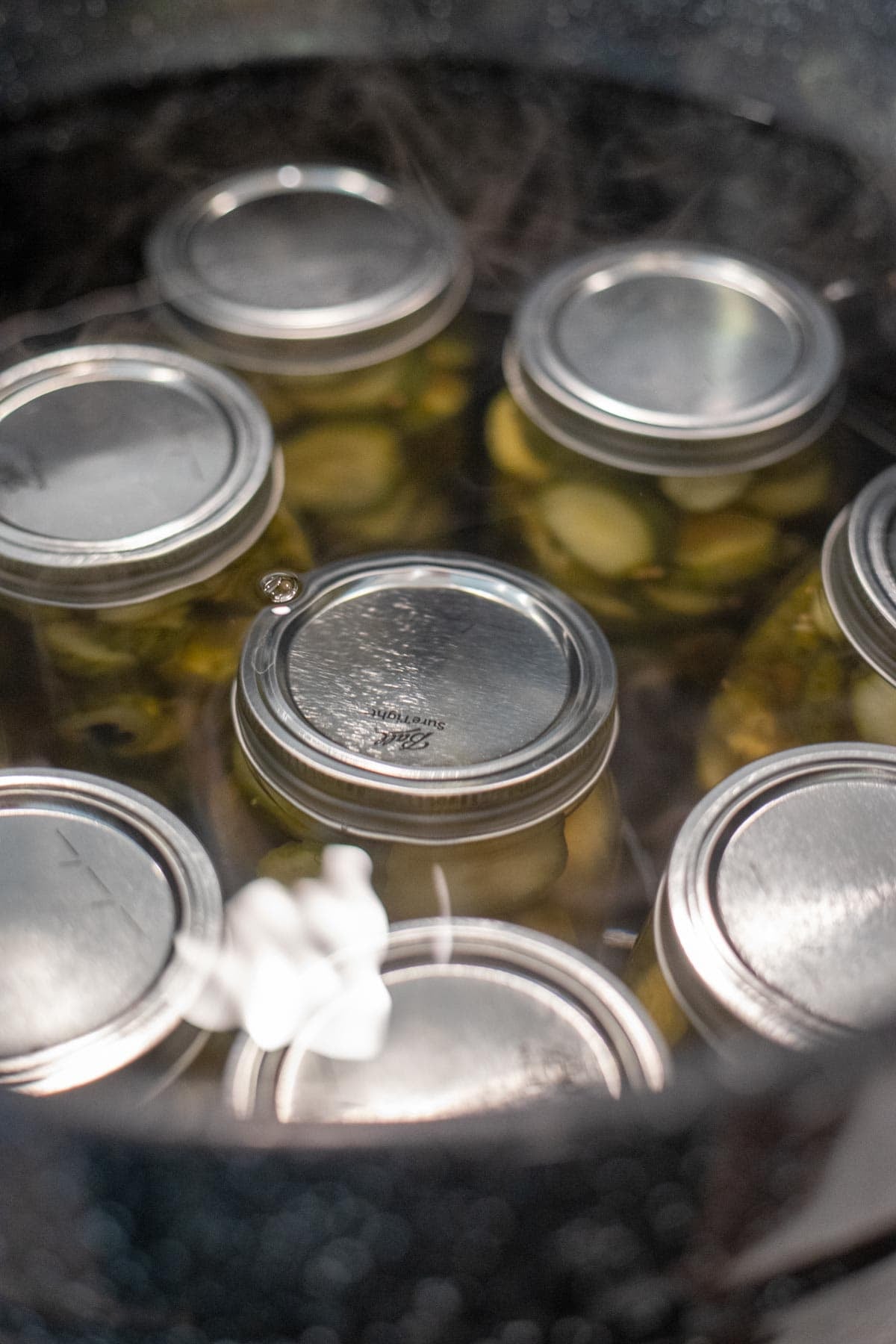A Beginner's Guide to Water Bath Canning - Farmhouse on Boone