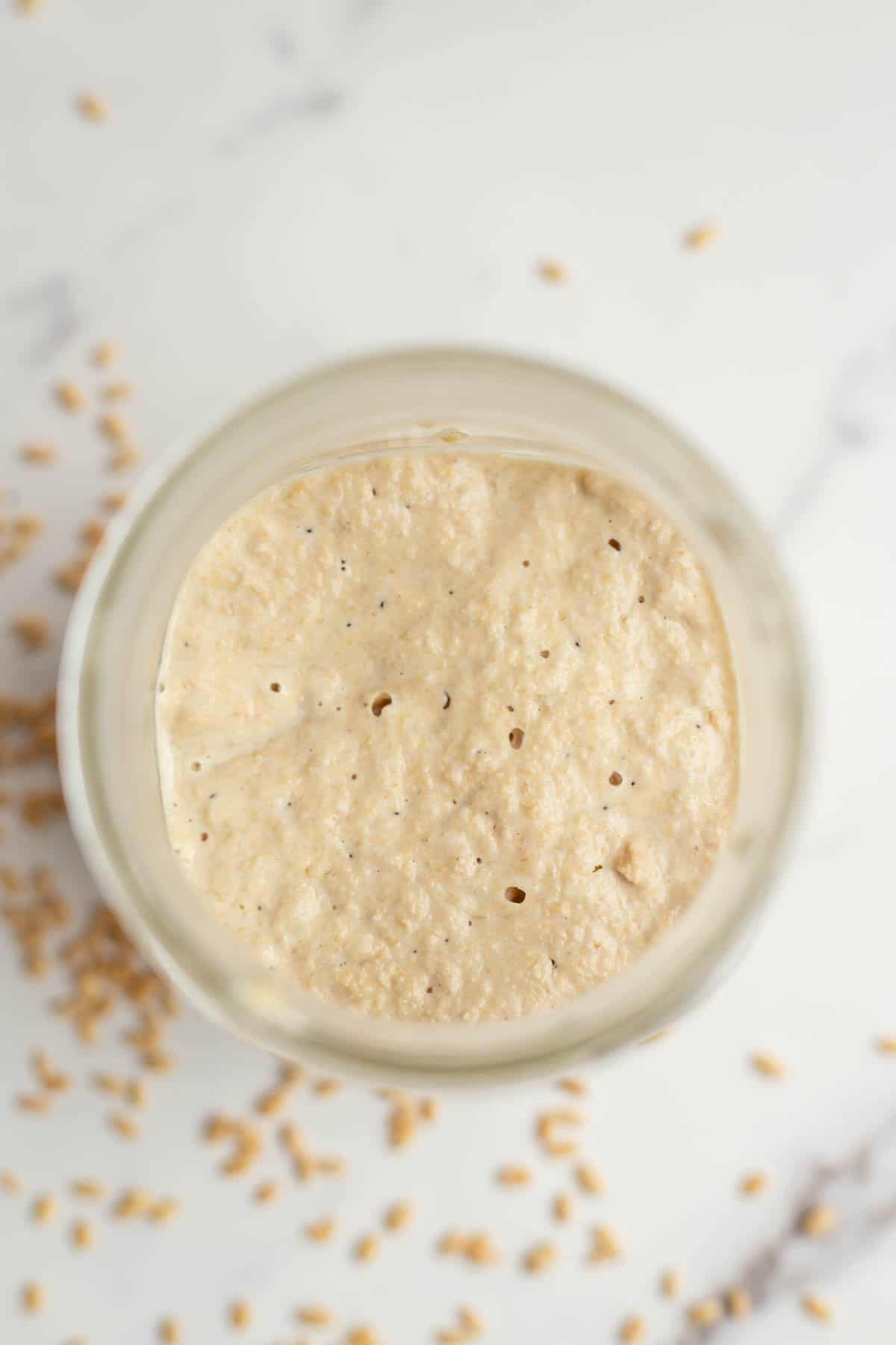 Fresh Milled Sourdough Starter - Farmhouse on Boone