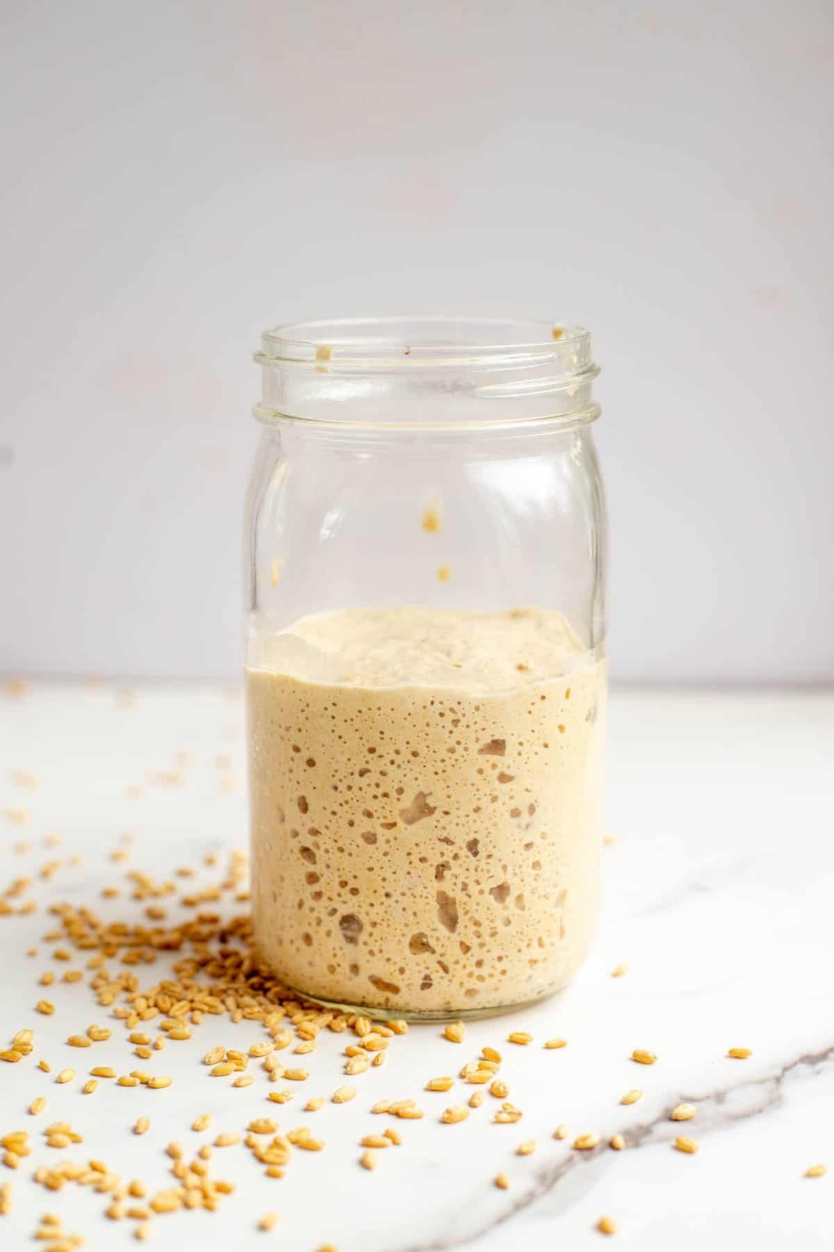 Fresh Milled Sourdough Starter - Farmhouse on Boone